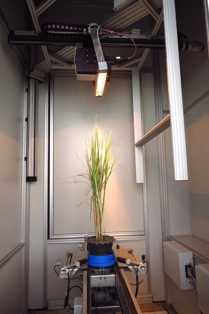 PlantScreen高通量植物表型成像分析平台（传送带版） - 北京宝利恒科技有限公司